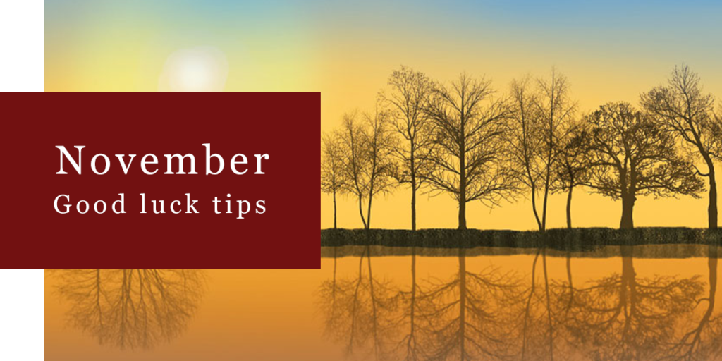 浅野美佐子の幸運を招くヒント vol.18 | キプリス（CYPRIS）