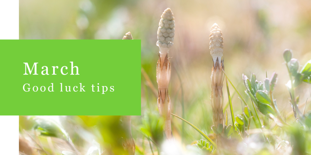 浅野美佐子の幸運を招くヒント vol.34 | キプリス（CYPRIS）